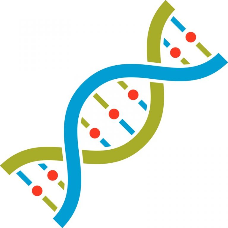 Eukarys | The C3P3 Company